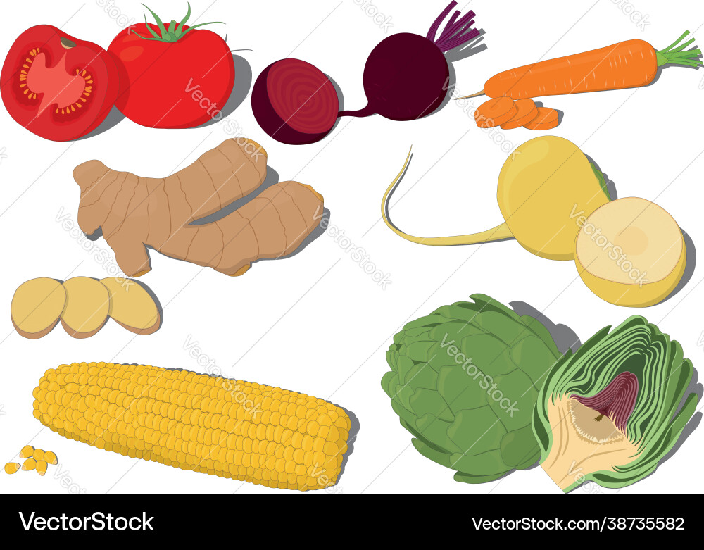 Whole and cut fresh vegetables collection i Vector Image