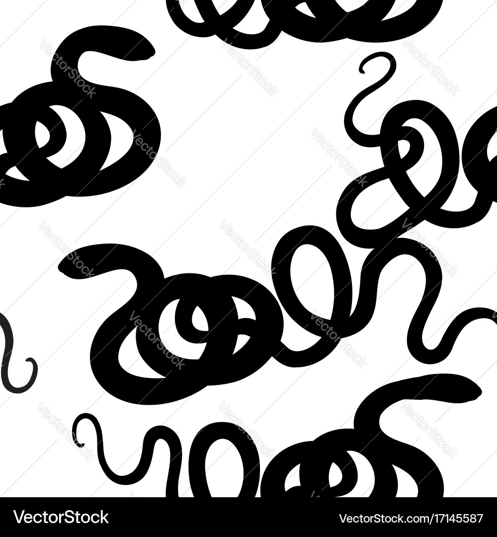 Abstract ornametal spiral seamless snake Vector Image