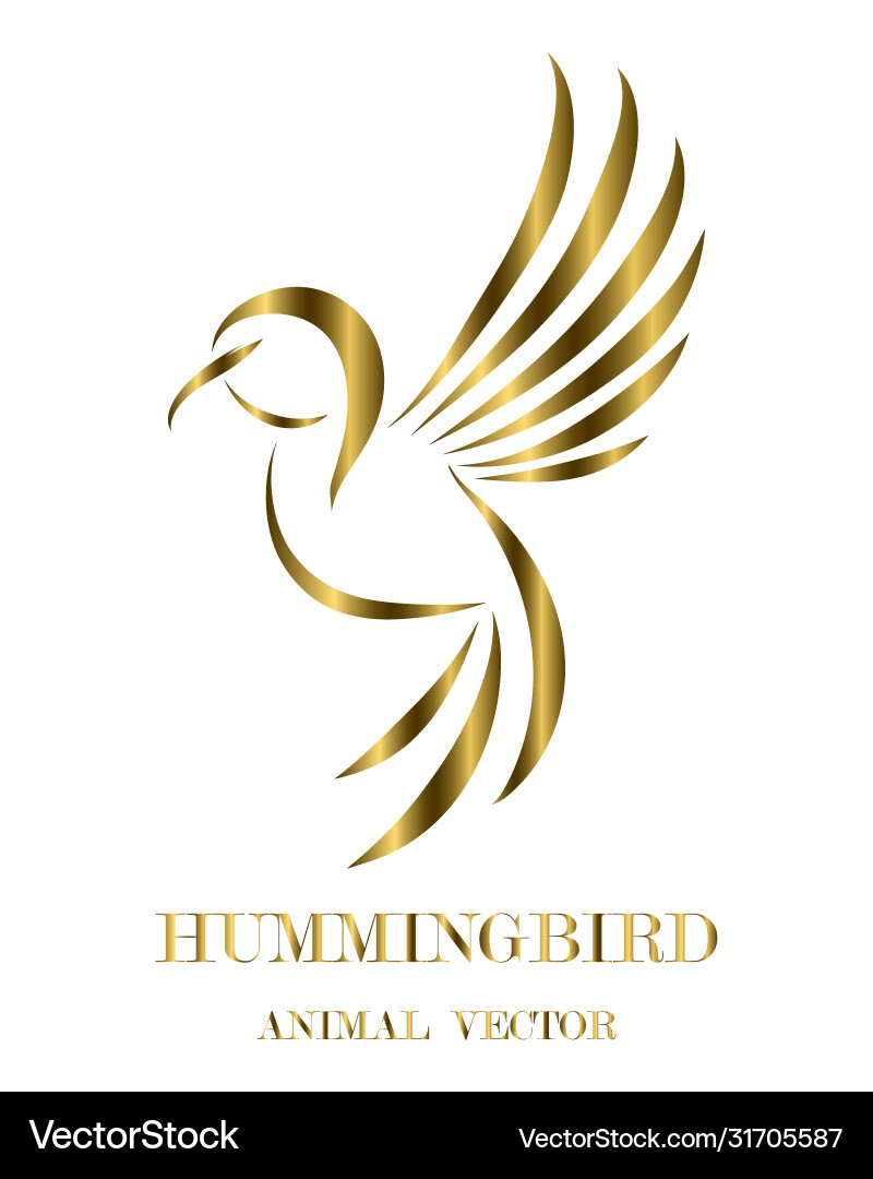 Golden Hummingbird Line Art Royalty Free Vector Image