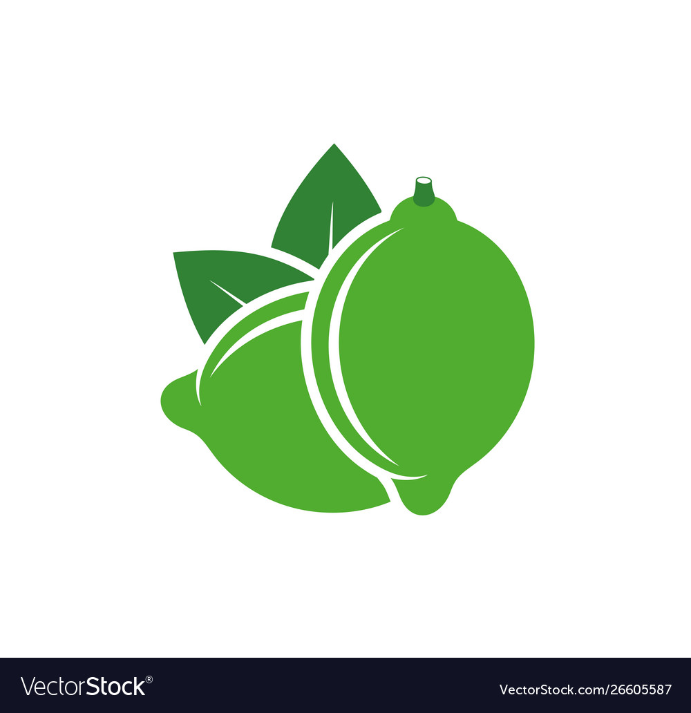 Lime Royalty Free Vector Image - VectorStock