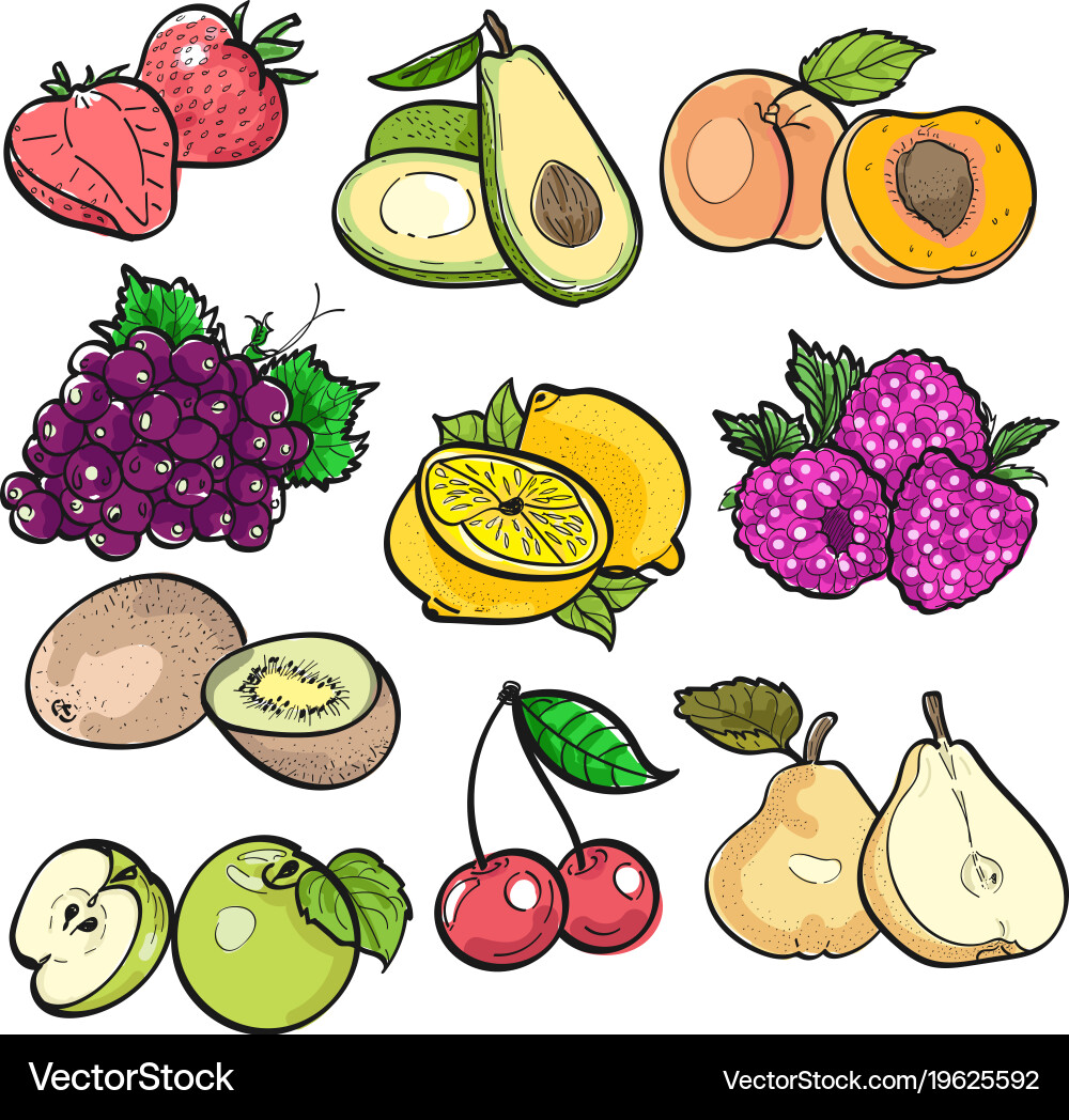 Set collection color doodle of fruit Royalty Free Vector