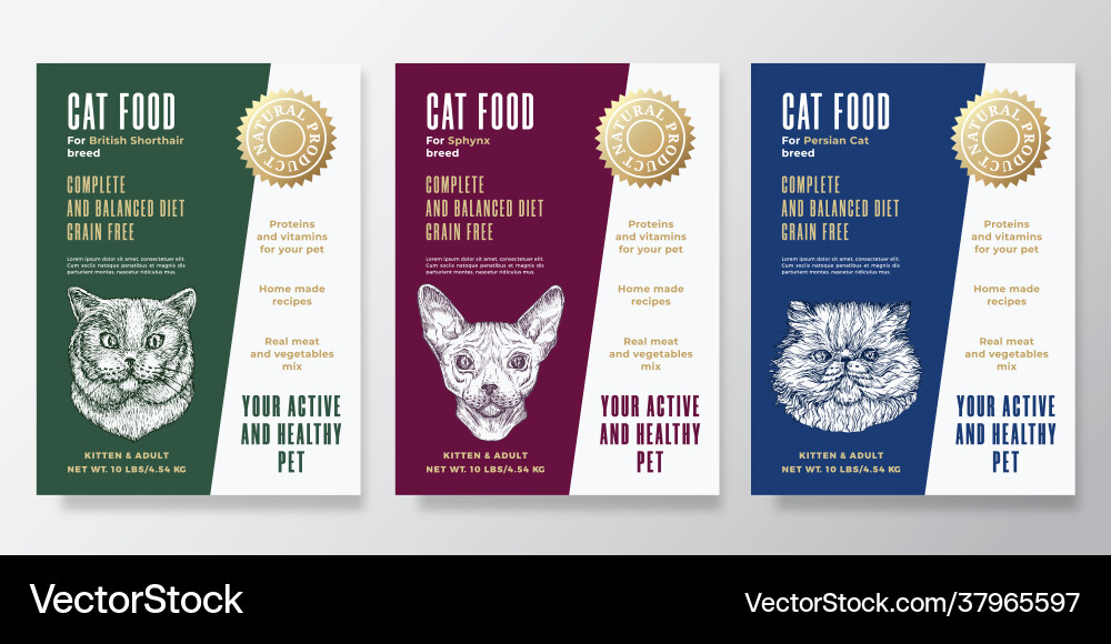 Pet food label templates set abstract Royalty Free Vector