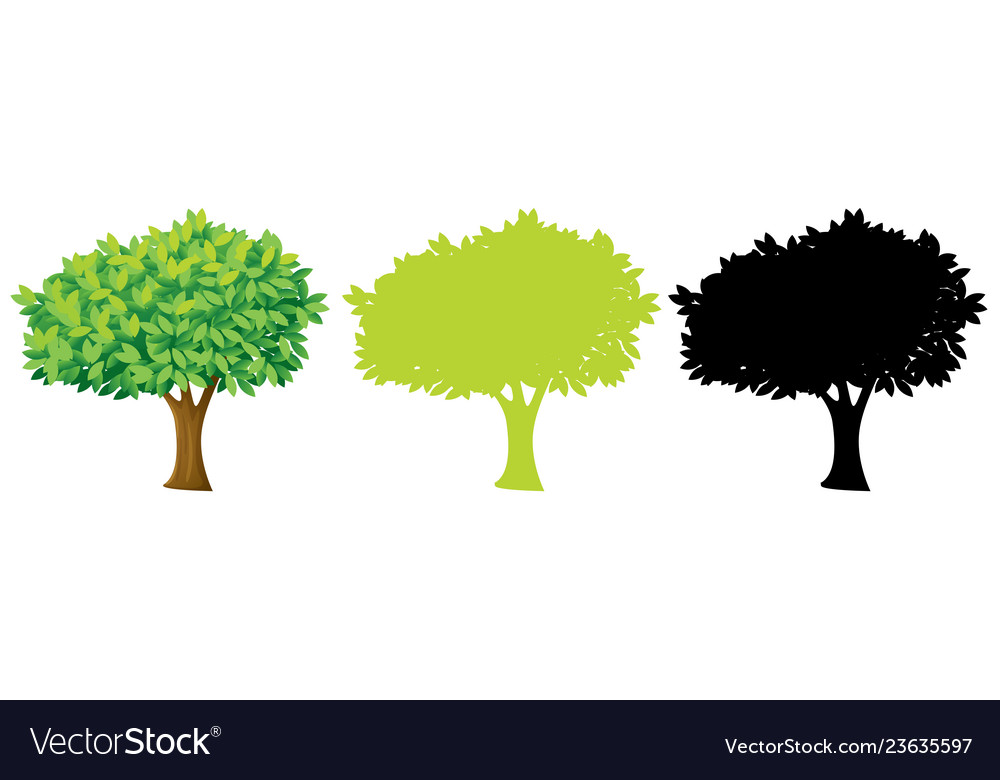 Set of tree design Royalty Free Vector Image - VectorStock