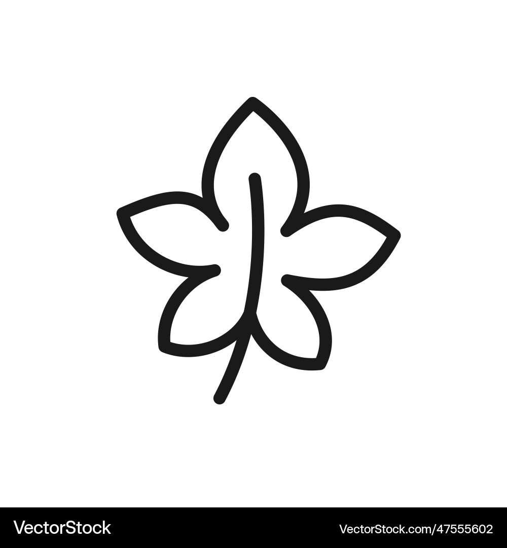 Cute doodle autumn maple leaf isolated on white Vector Image