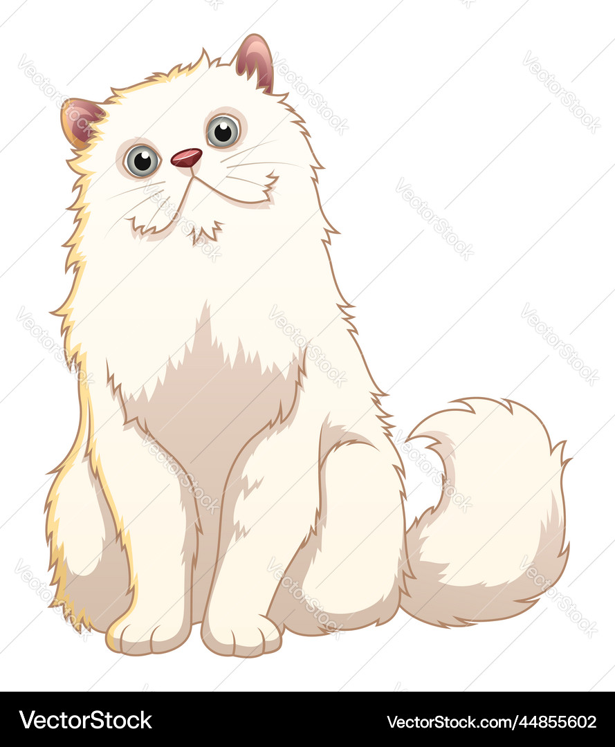 Persian cat cartoon animal Royalty Free Vector Image
