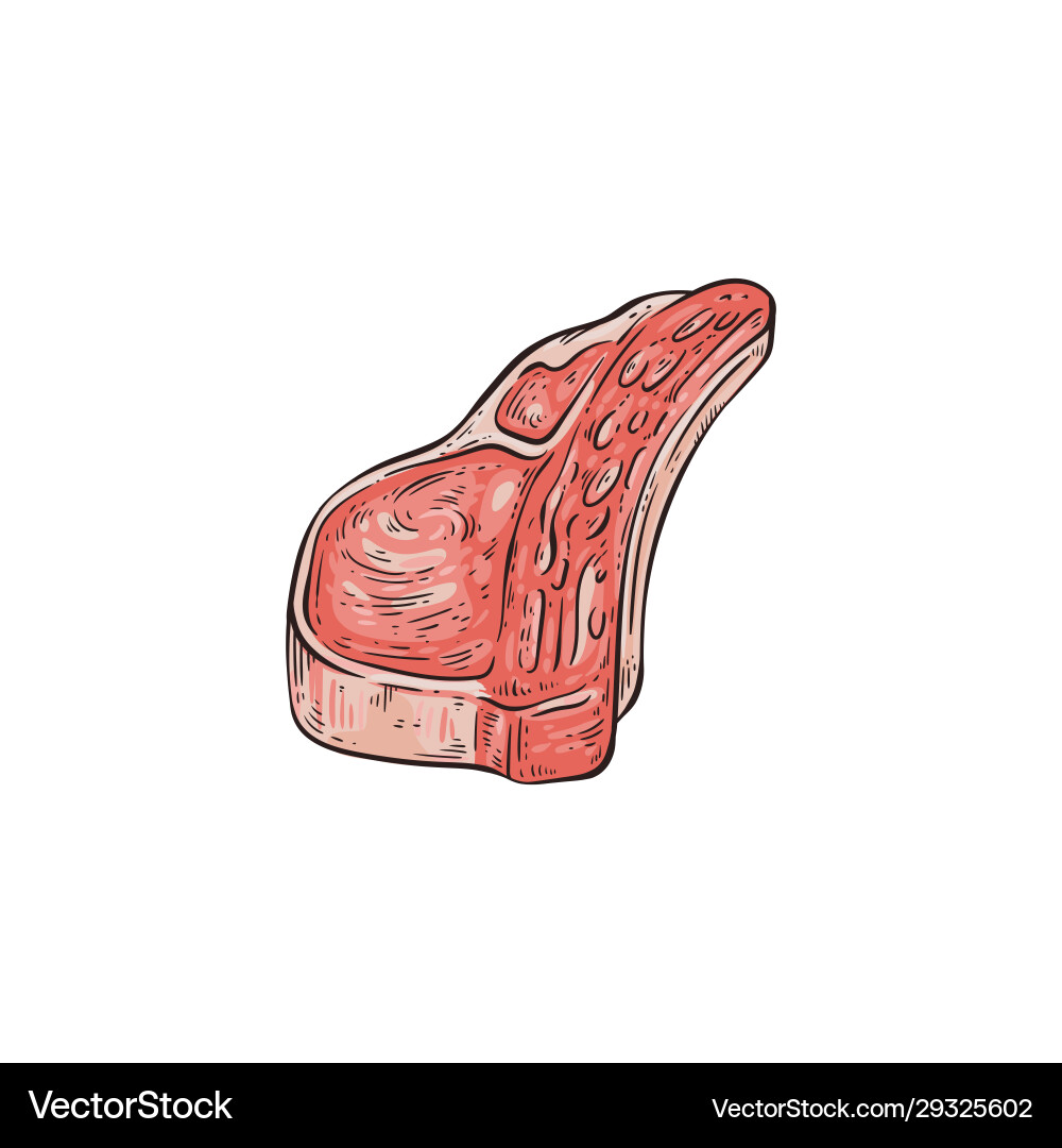 Pork red meat piece or steak Royalty Free Vector Image