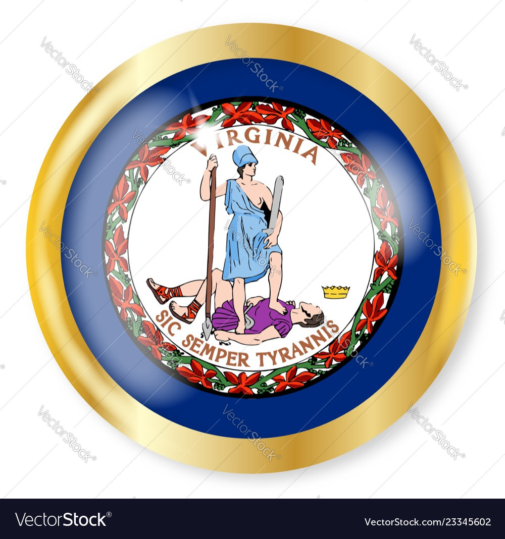 Virginia flag button Royalty Free Vector Image
