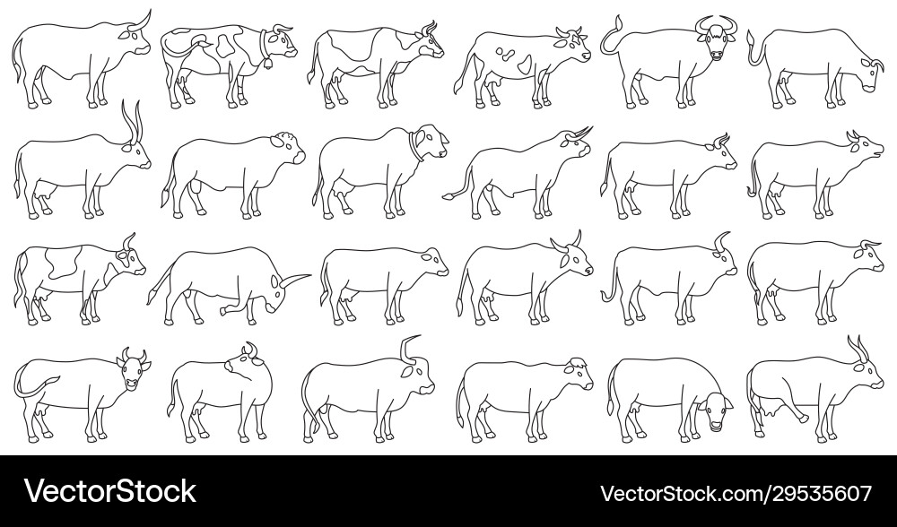 Cow animal outline set iconisolated Royalty Free Vector
