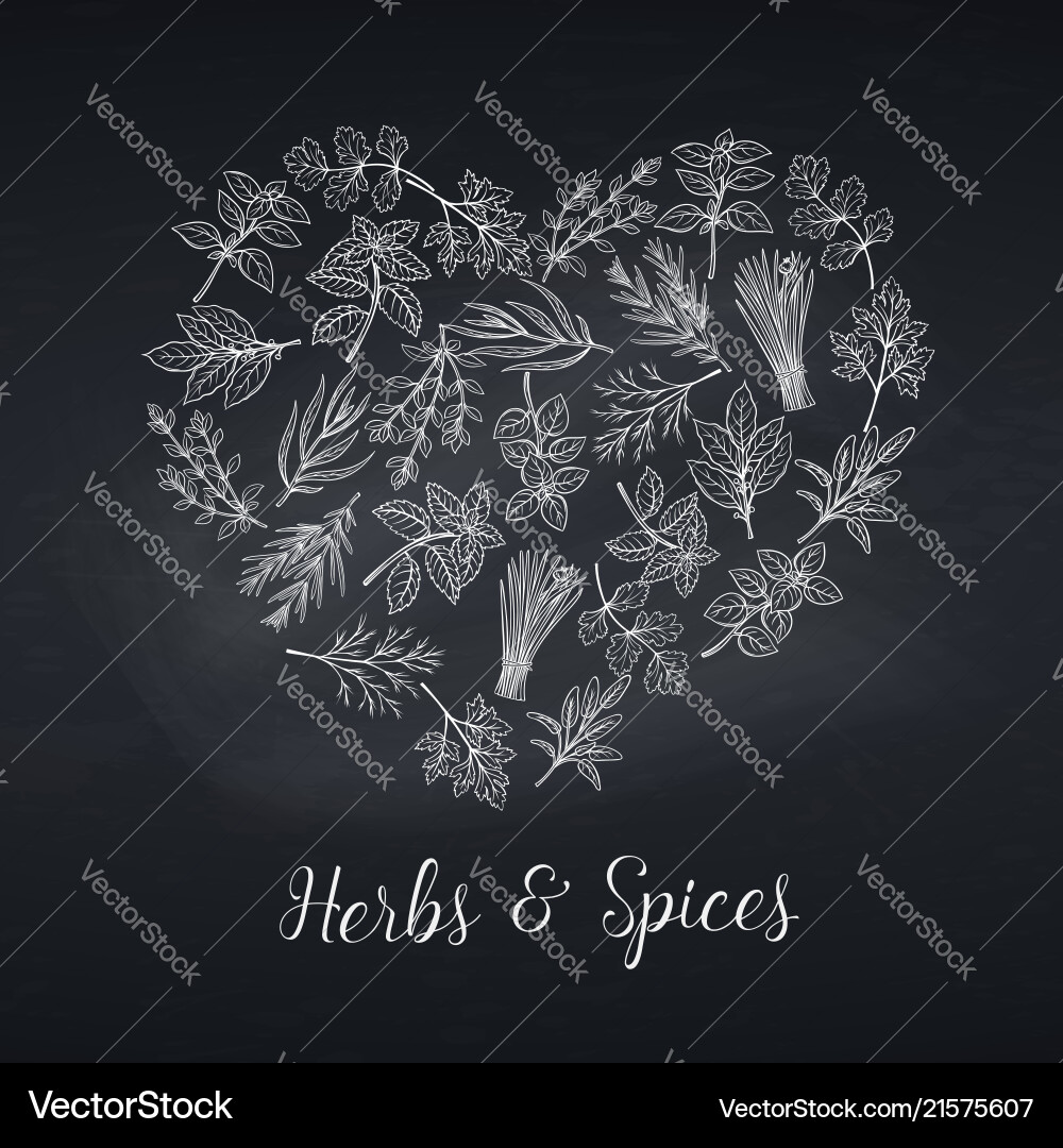 Hand drawn sketch herbs and spices Royalty Free Vector Image