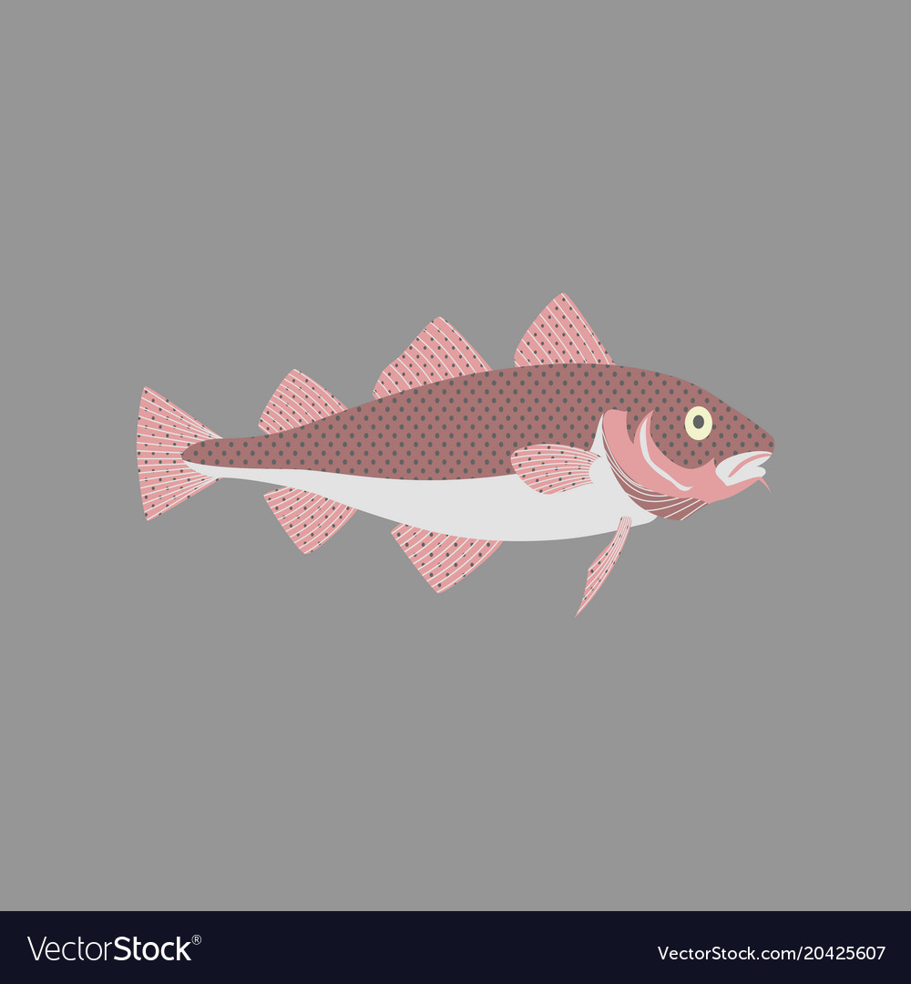 In flat style cod Royalty Free Vector Image - VectorStock