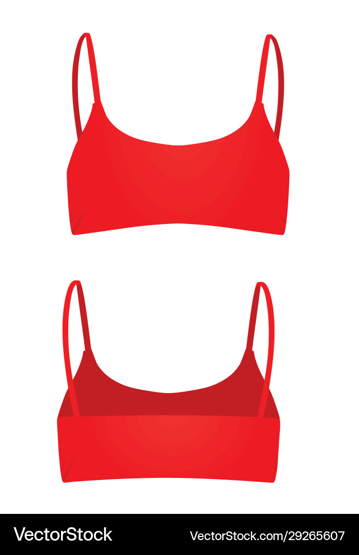 Red women top back and front view Royalty Free Vector Image
