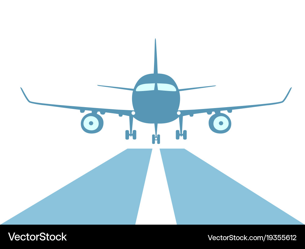 Airplane make good landing with a excellent Vector Image