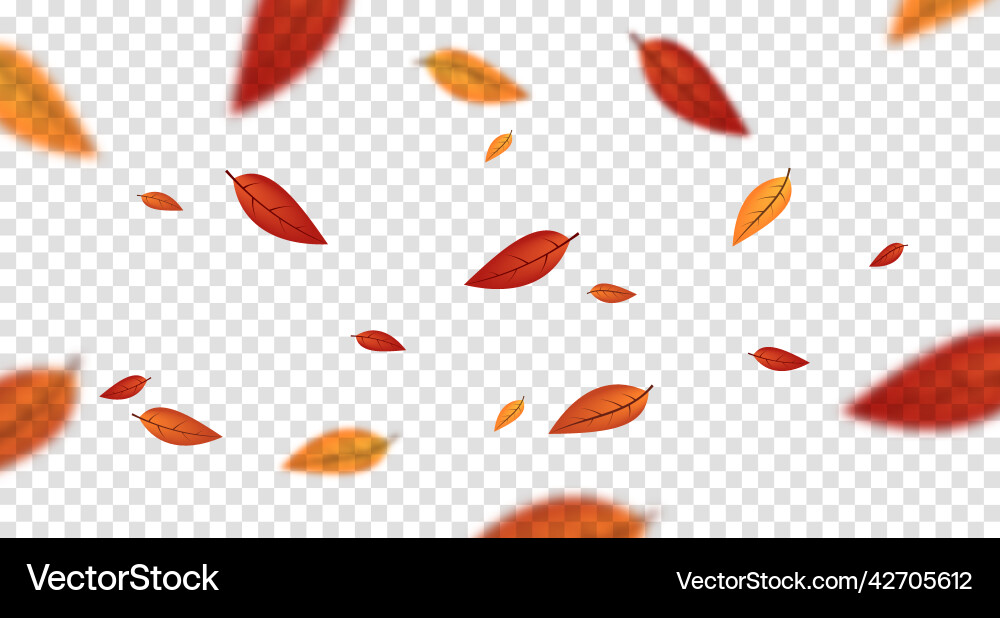 Fall blurred flying leaves autumn nature design Vector Image