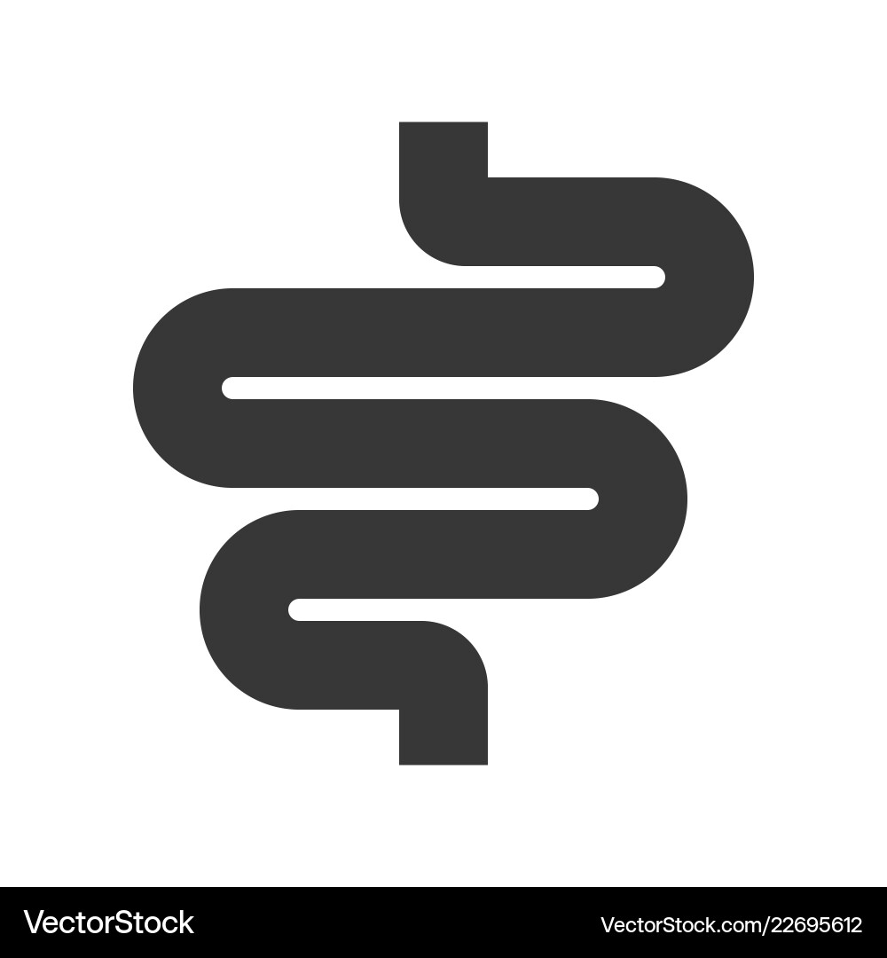 Small intestine human organ anatomy set solid icon