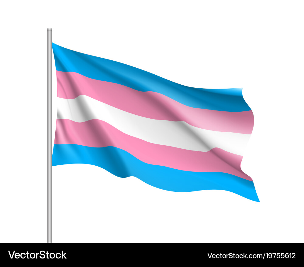 Transgender symbol movement lgbt Royalty Free Vector Image