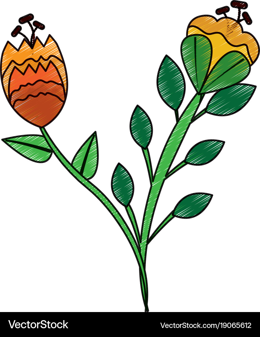 Two flowers stem leaves natural petal image Vector Image