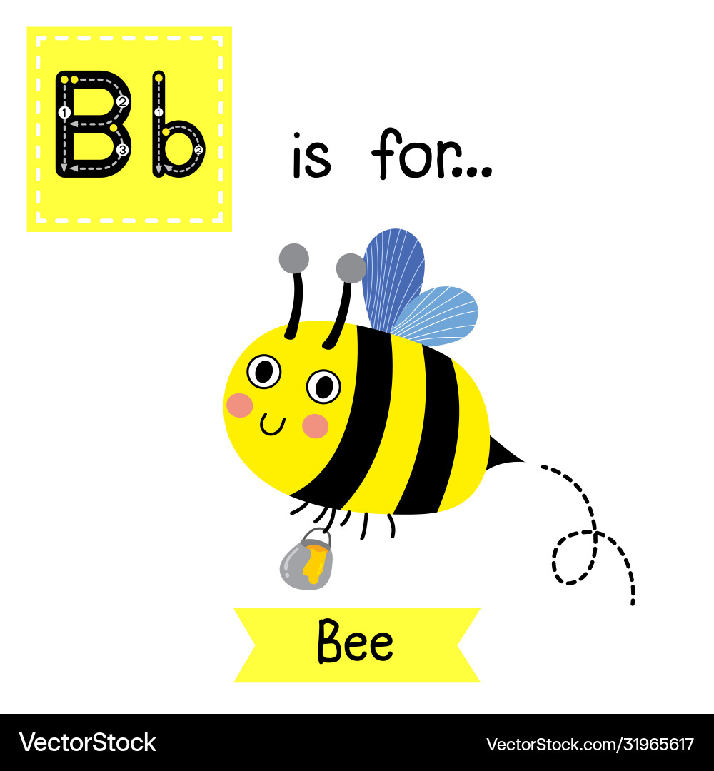 Tracing letter b for happy bee flying around Vector Image