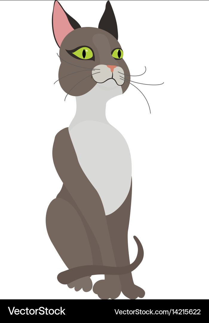 Cartoon gray cat mascot character Royalty Free Vector Image