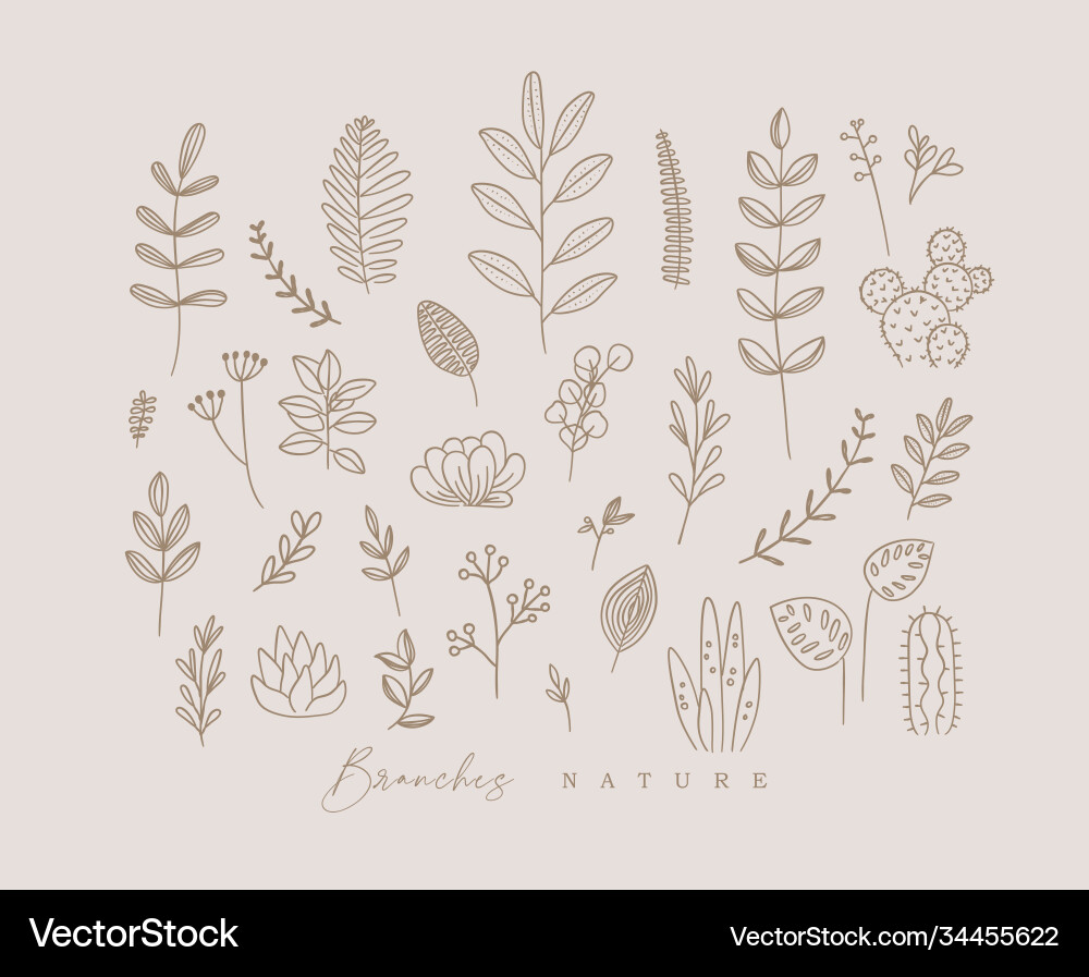 Floral leaves set beige Royalty Free Vector Image