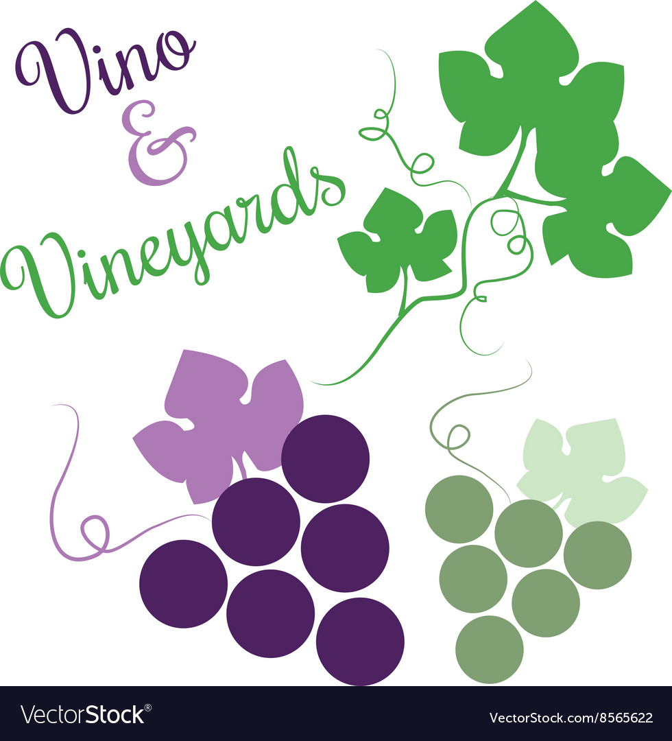 Vineyards Royalty Free Vector Image - VectorStock