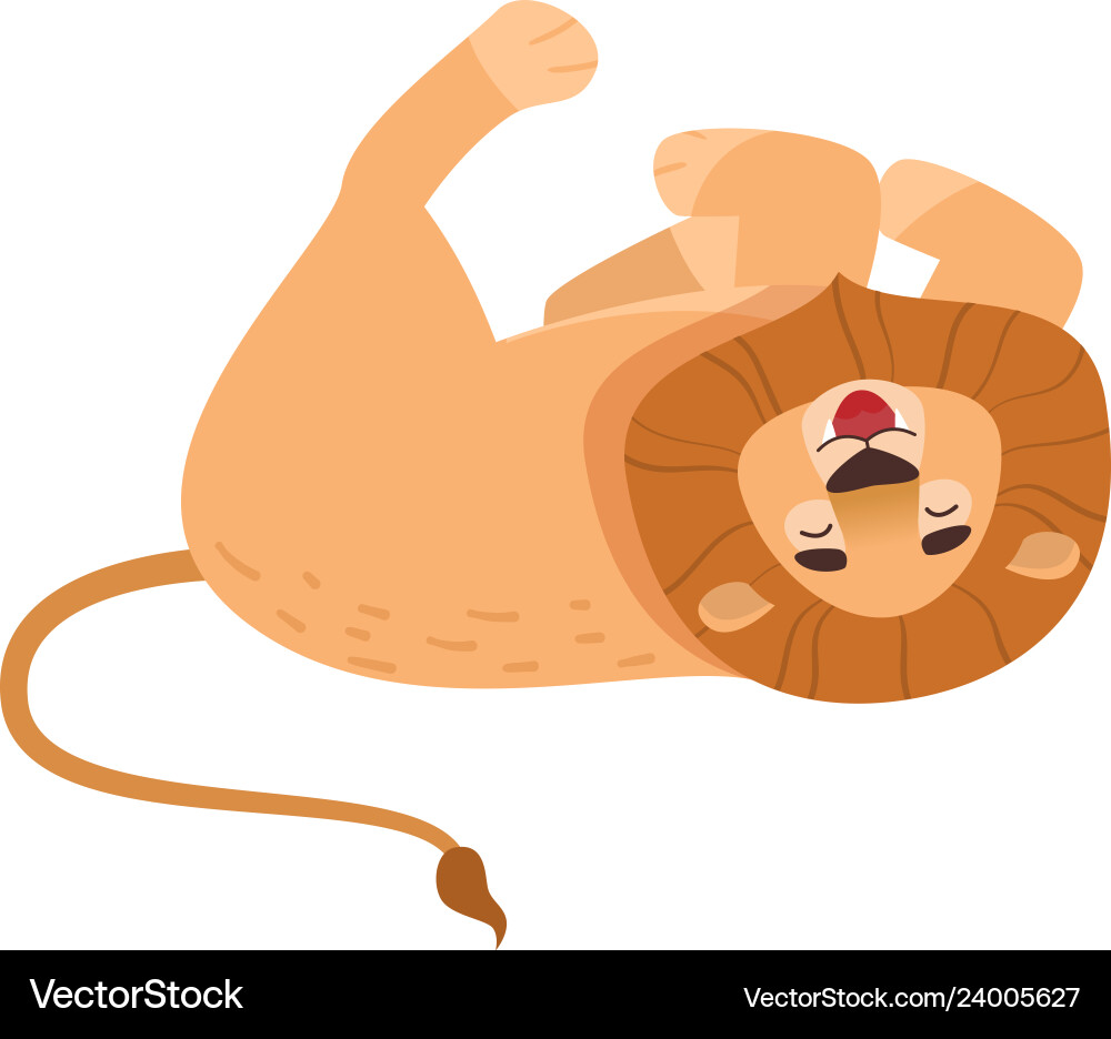 Big lion tumbling isolated on white background Vector Image
