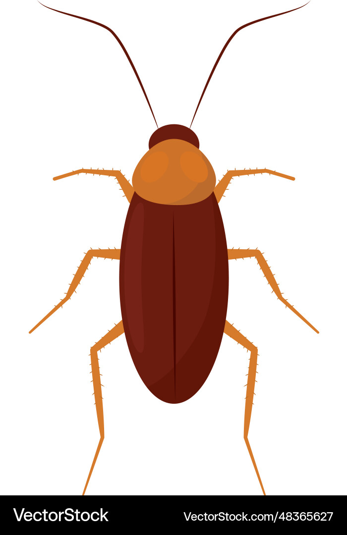 Isolated colored cockroach insect animal icon Vector Image