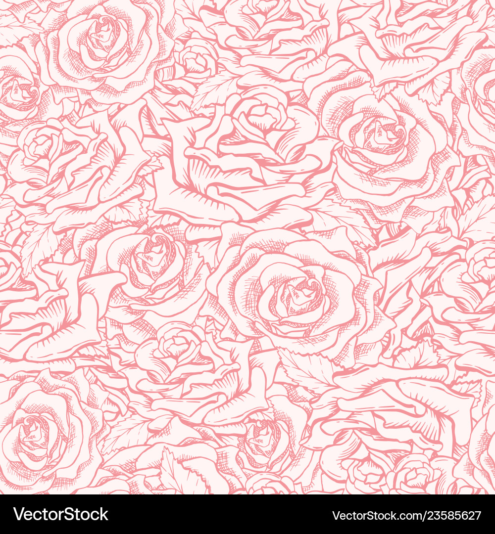Red or pink roses seamless pattern with sketch Vector Image