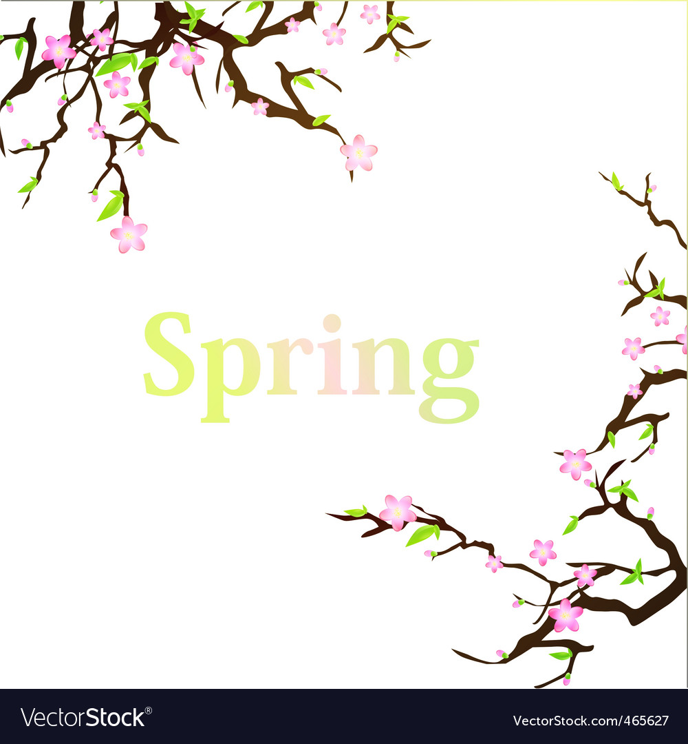 Spring background Royalty Free Vector Image - VectorStock Spring background Royalty Free Vector Image - VectorStock