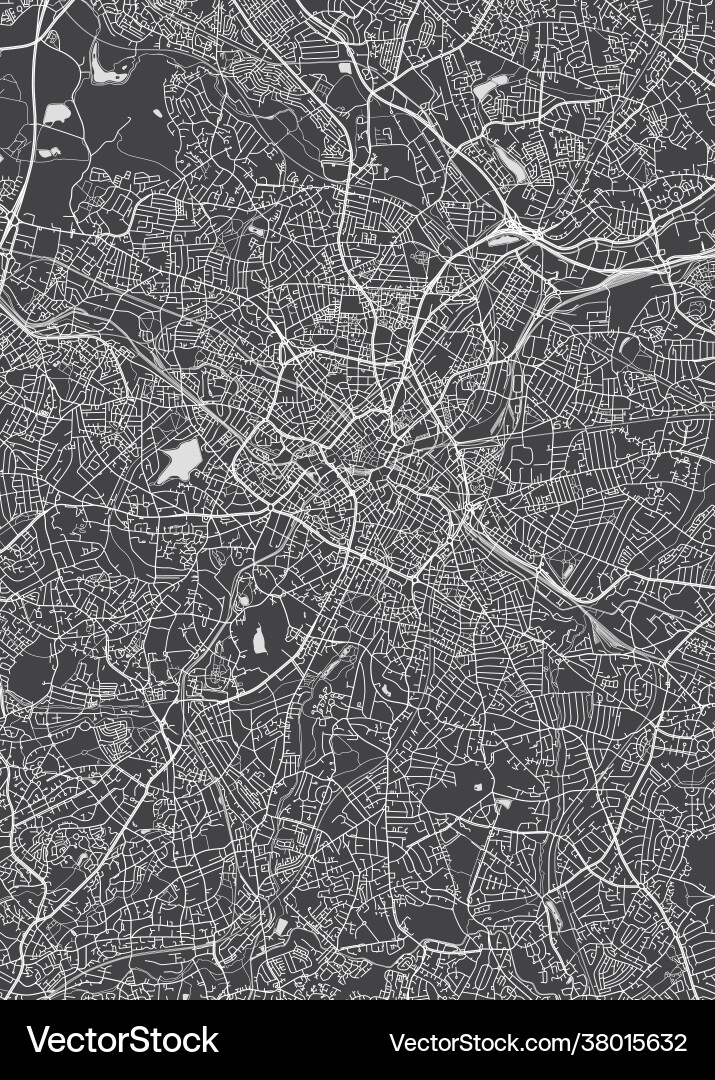 City map birmingham monochrome detailed plan Vector Image