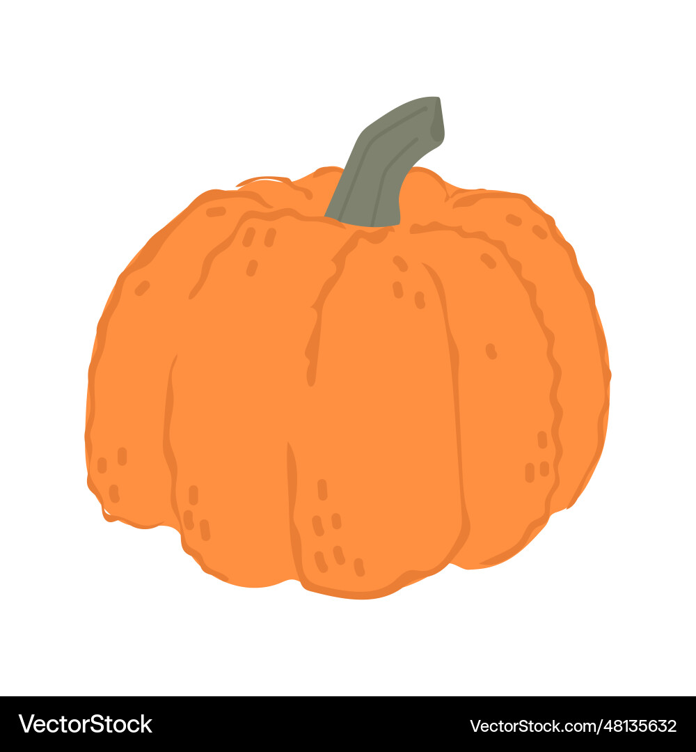 Cute cartoon style orange pumpkin squash Vector Image