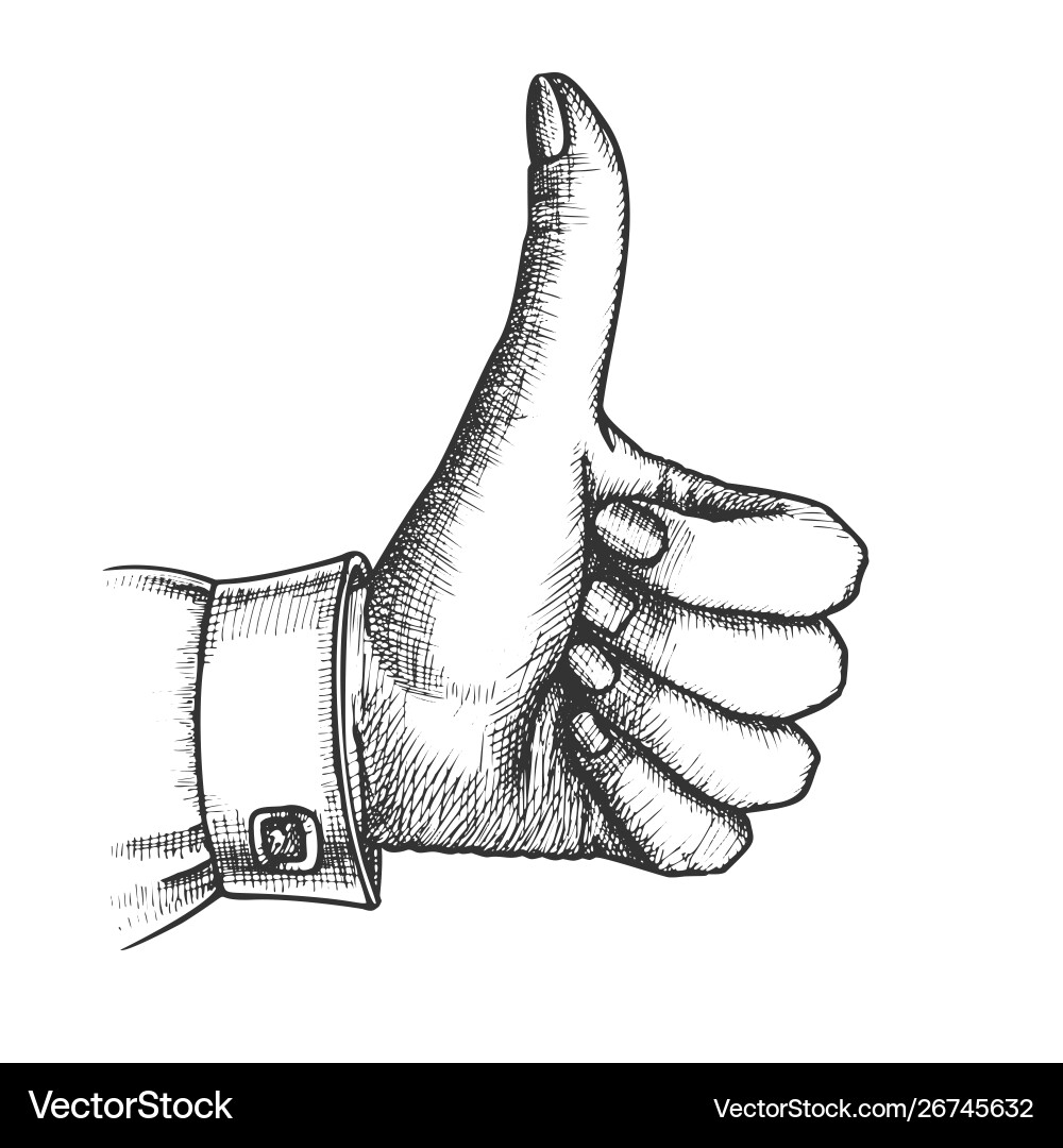 Female hand make gesture thumb finger up Vector Image