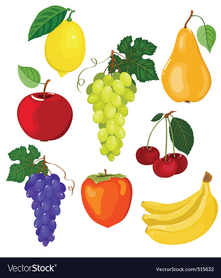 Fruit set Royalty Free Vector Image - VectorStock