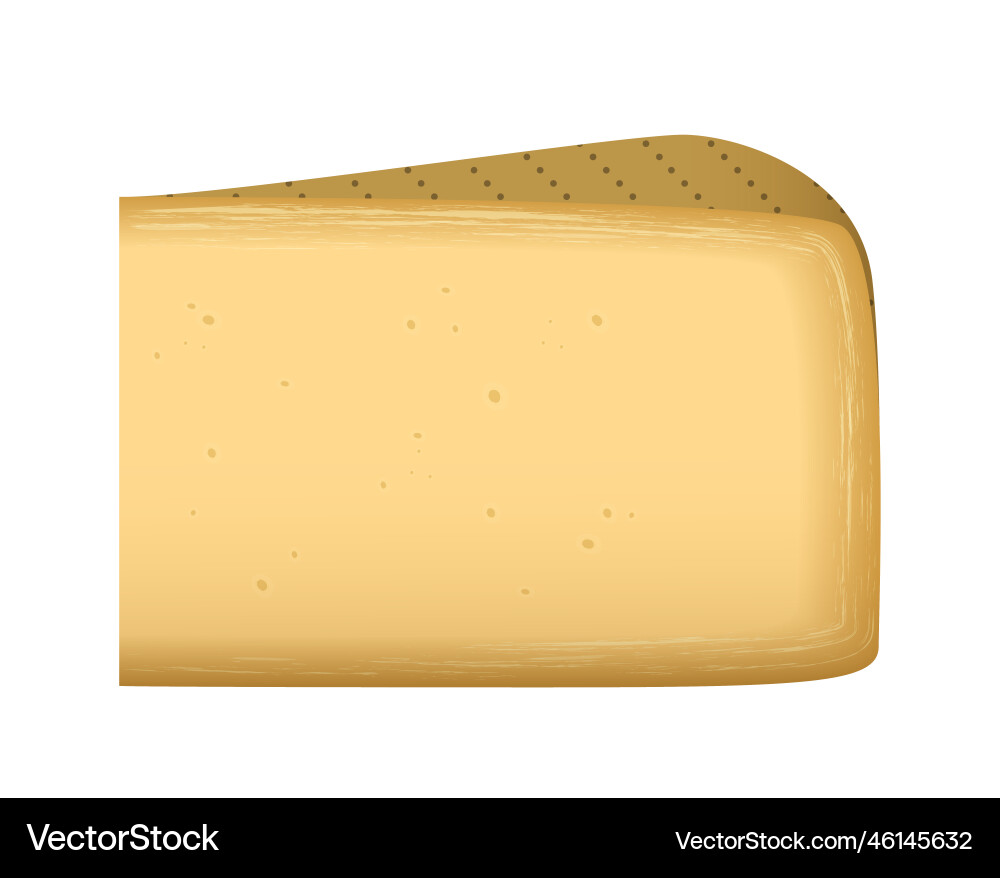 Piece of parmesan cheese Royalty Free Vector Image