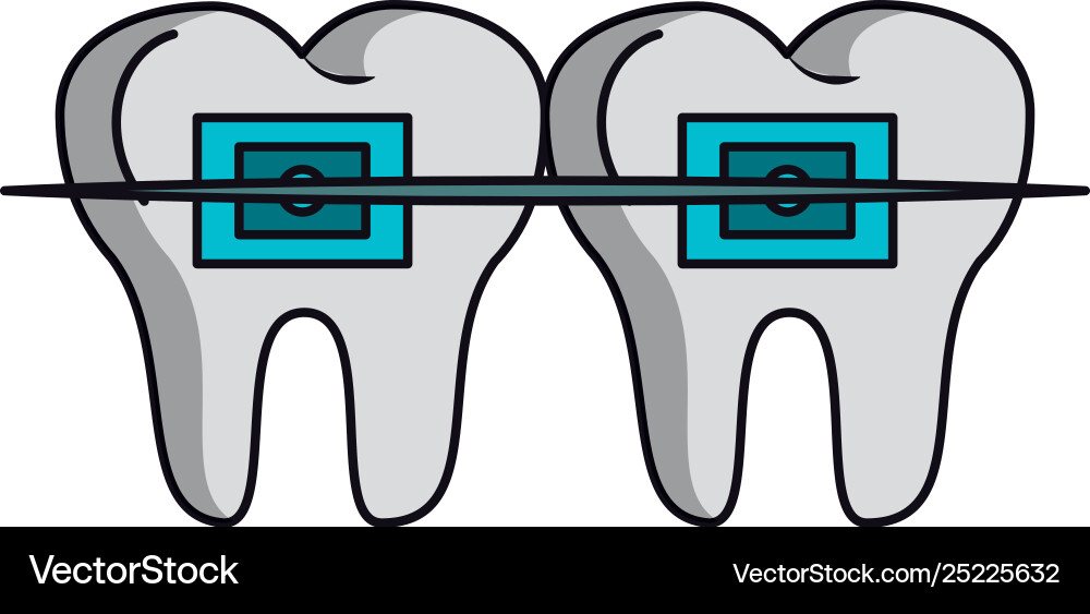 Teeth with braces Royalty Free Vector Image - VectorStock