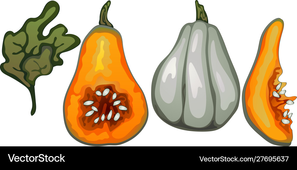 Autumn harvest pumpkins Royalty Free Vector Image