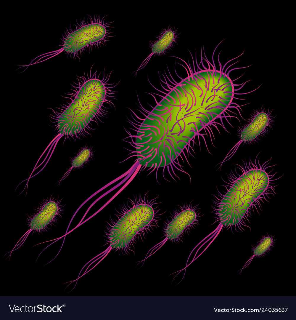 Group e coli bacteries Royalty Free Vector Image