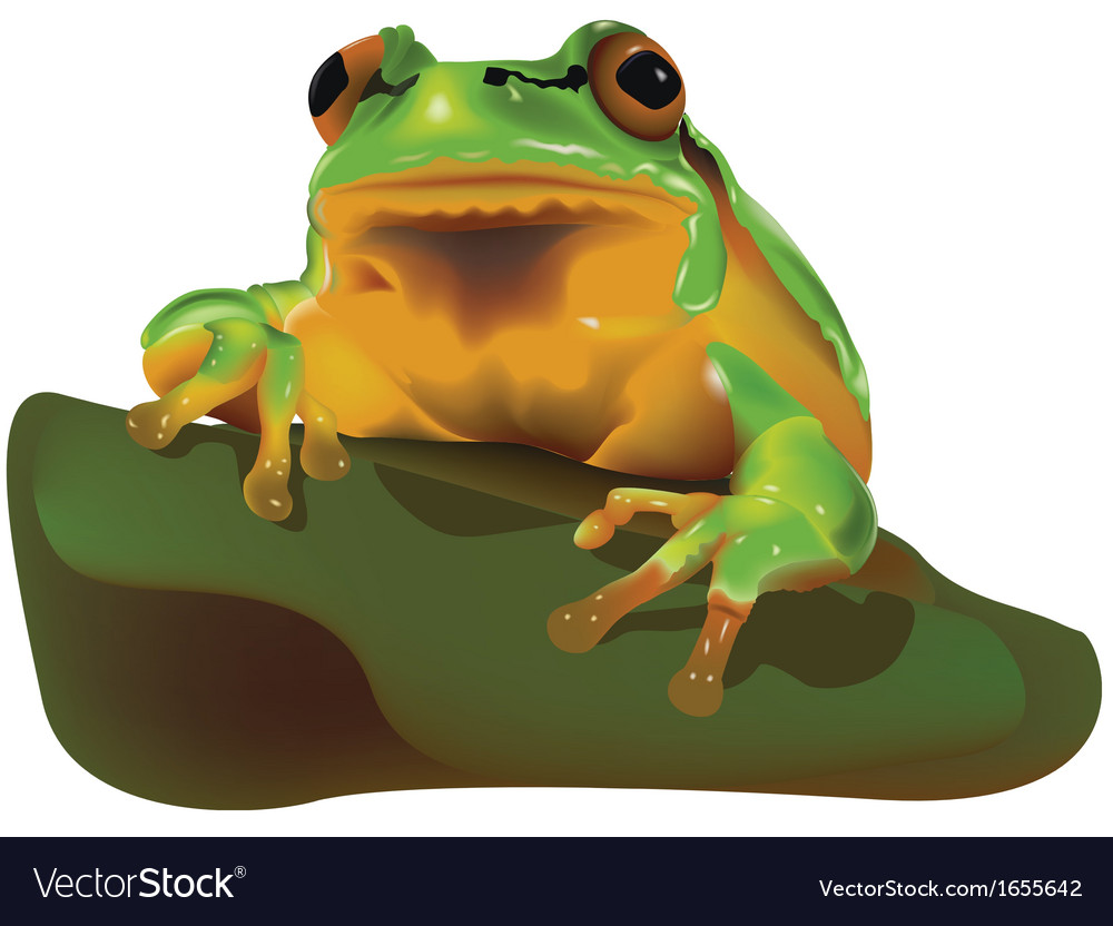 Frog Royalty Free Vector Image - VectorStock