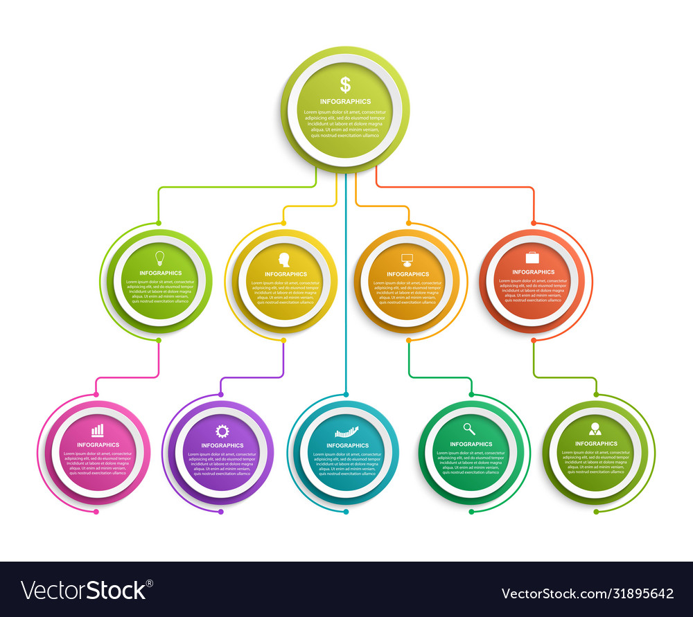 Infographic design organization chart template Vector Image