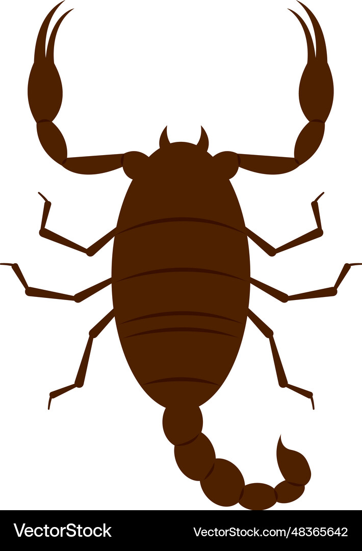 Isolated colored scorpio insect animal icon Vector Image