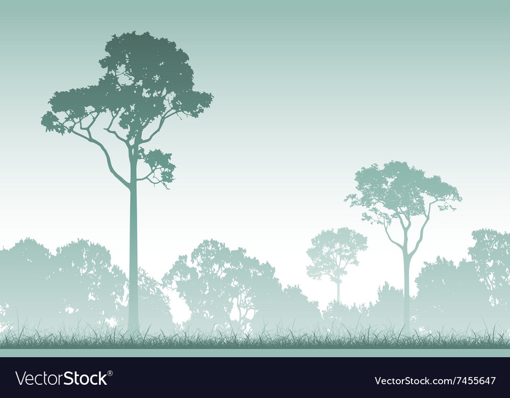 Forest landscape Royalty Free Vector Image - VectorStock