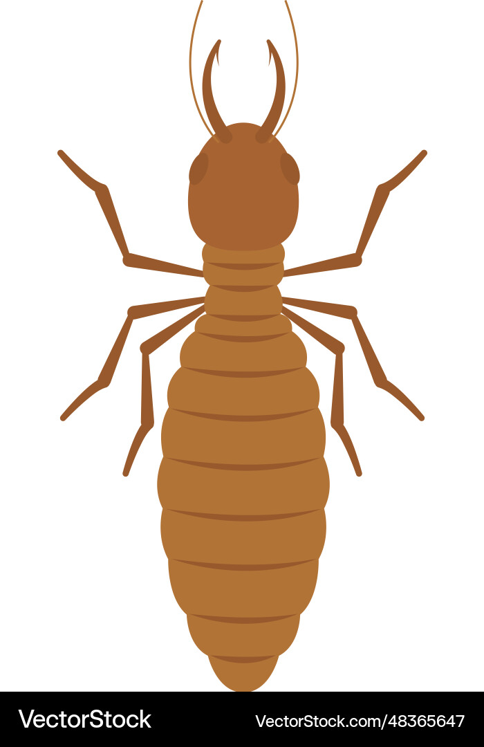 Isolated colored ant insect animal icon Royalty Free Vector
