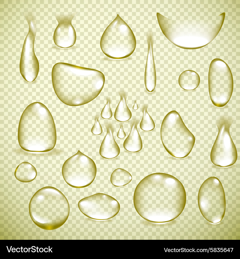Set of six transparent drops different forms Vector Image