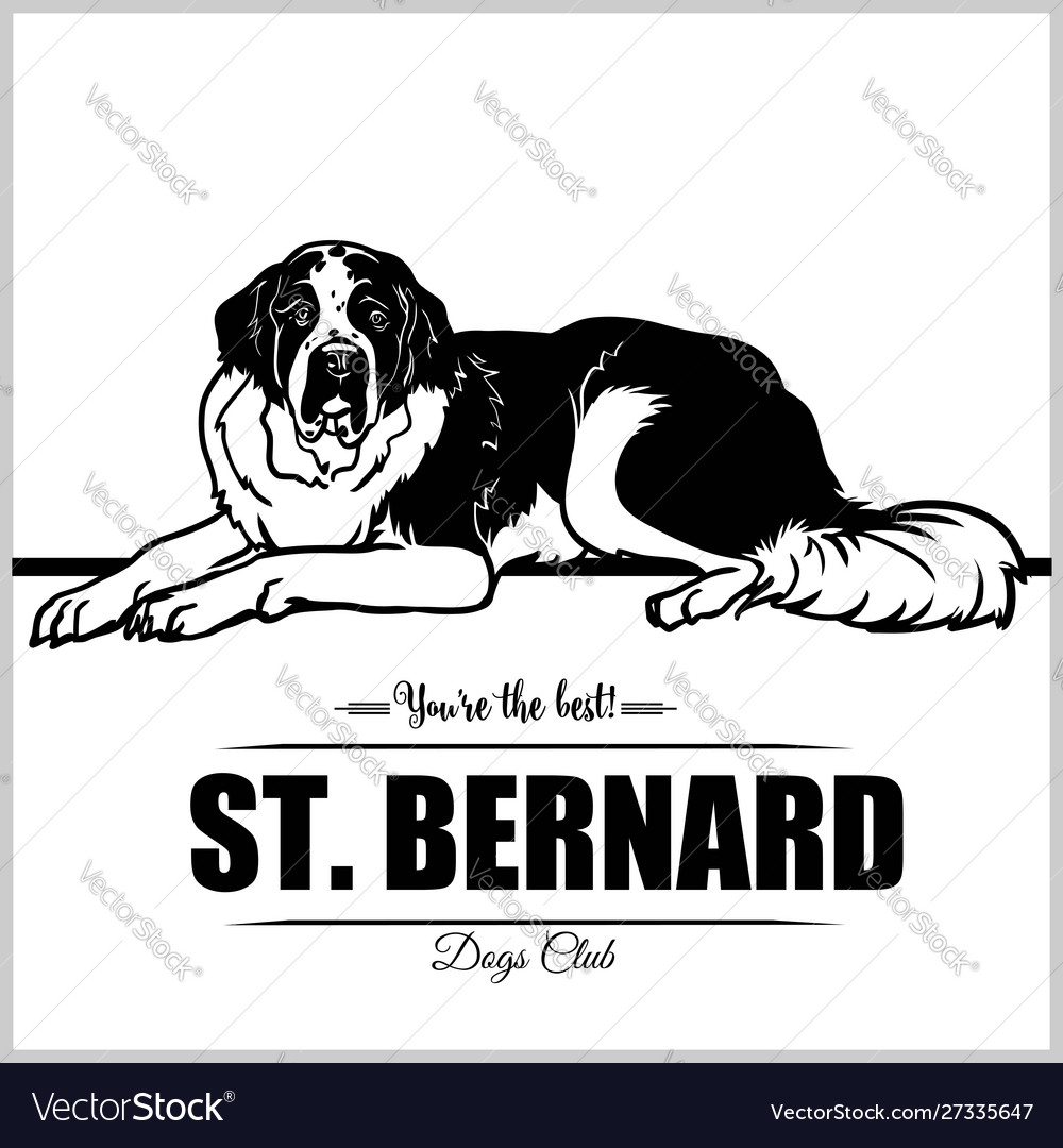 St bernard dog - for t-shirt Royalty Free Vector Image