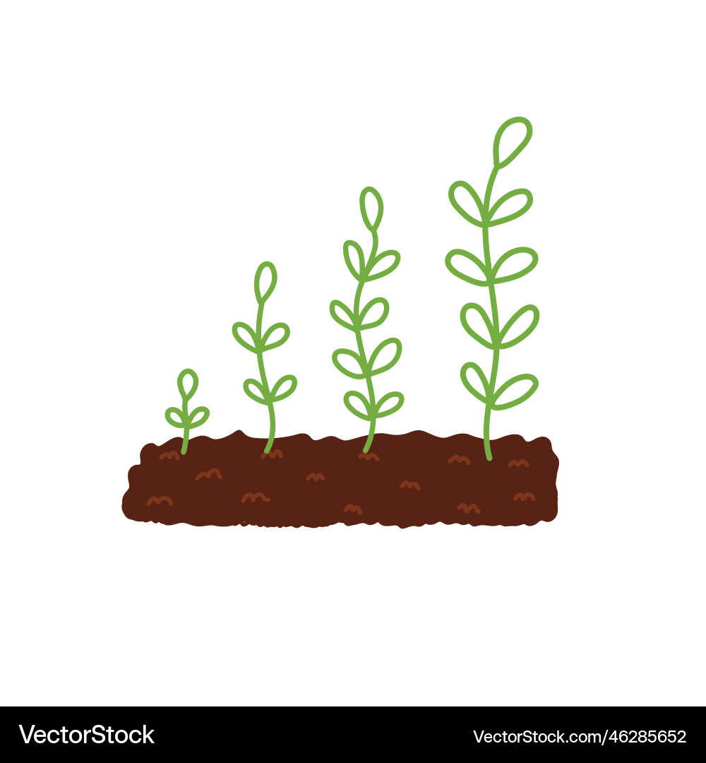 Growing plant in the soil phases concept Vector Image