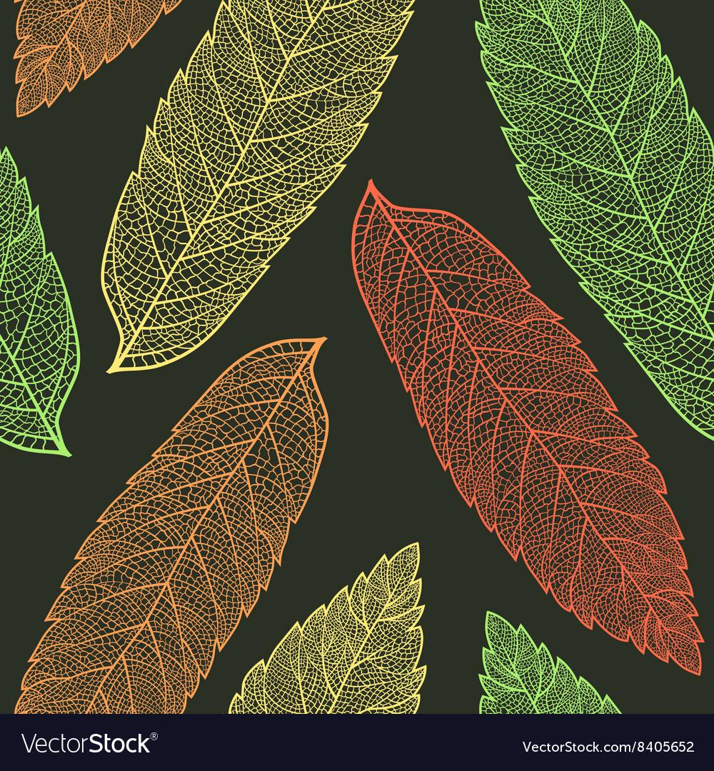 Leaf skeleton pattern Royalty Free Vector Image