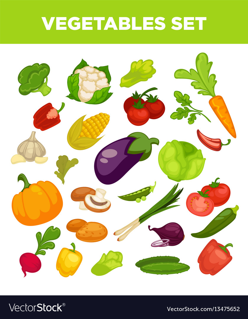 Vegetables and veggies vegetarian icons set Vector Image