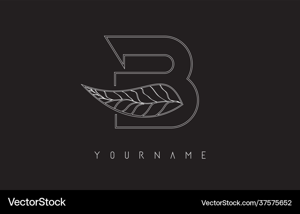 White outline b letter logo with outline leaf Vector Image