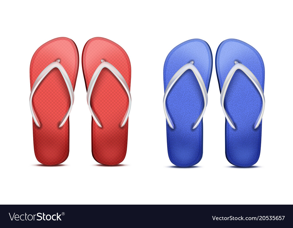 Two pair flip-flops Royalty Free Vector Image - VectorStock
