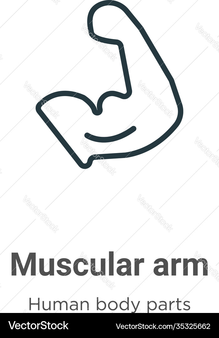 Muscular arm outline icon thin line black Vector Image