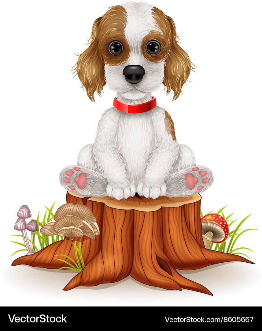 Cartoon dog sitting on tree stump Royalty Free Vector Image